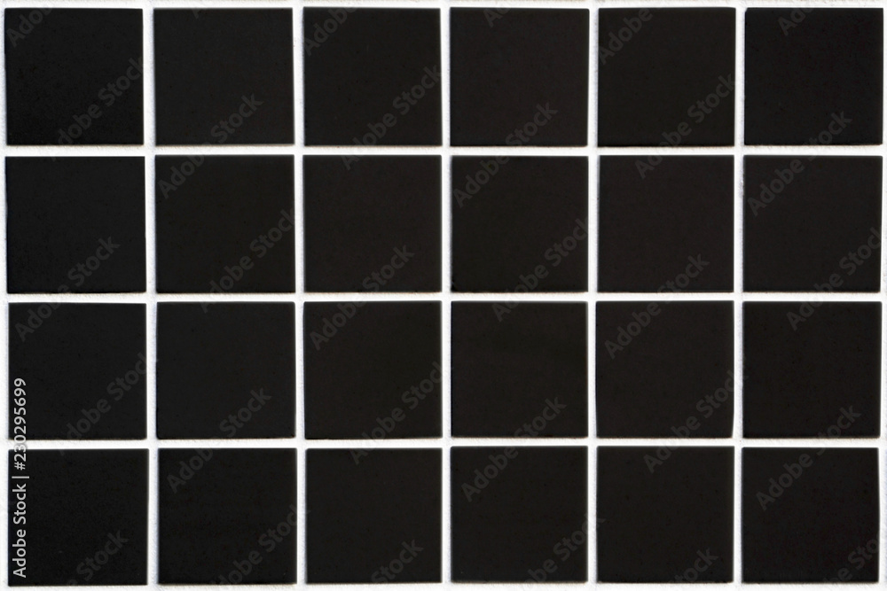 black ceramic tile with 24 squares in rectangular form with white ...