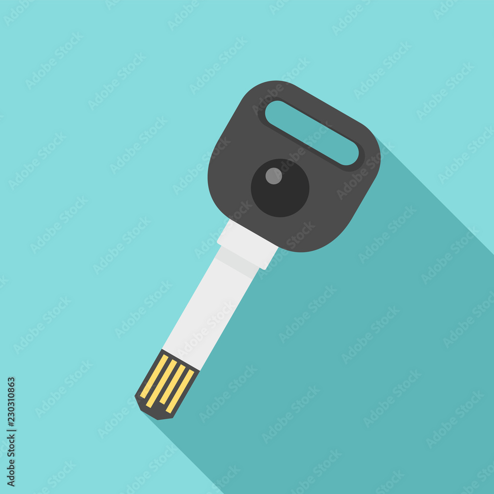 Usb digital lock key icon. Flat illustration of usb digital lock key ...