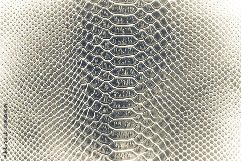 Luxury snake skin texture Stock Photo | Adobe Stock