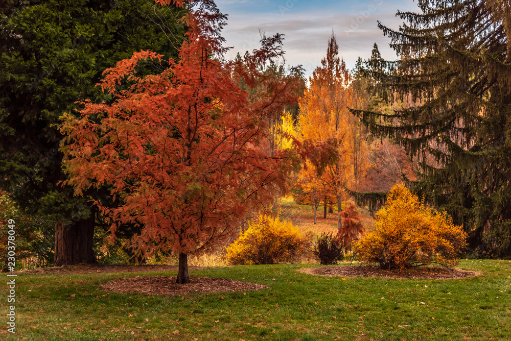 Autumn scenery at Finch Arboretum, Spokane, Washington, USA Stock Photo ...
