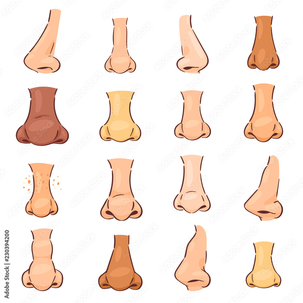 Different Nose Shapes Men