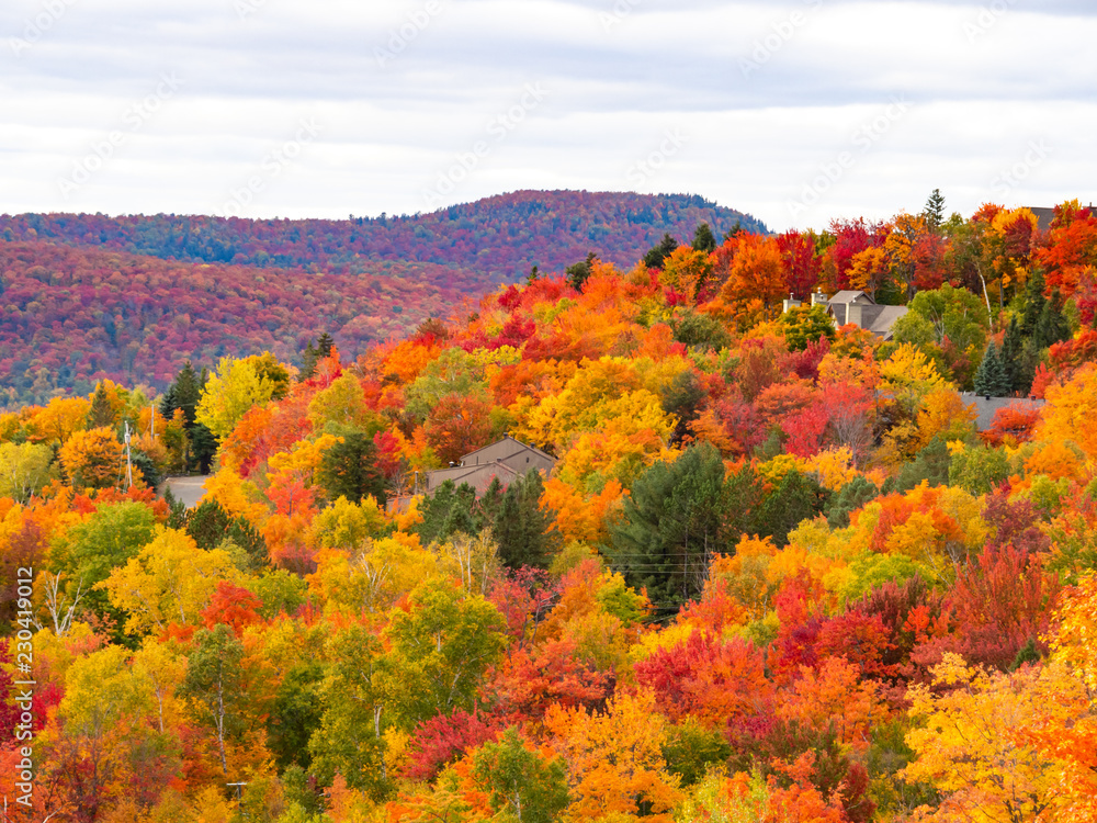 Laurentian Mountains Fall