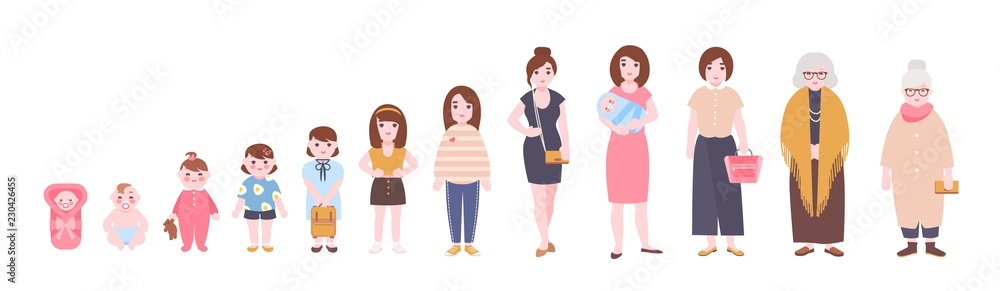Plakat Life cycle of woman. Visualization of stages of female body ...