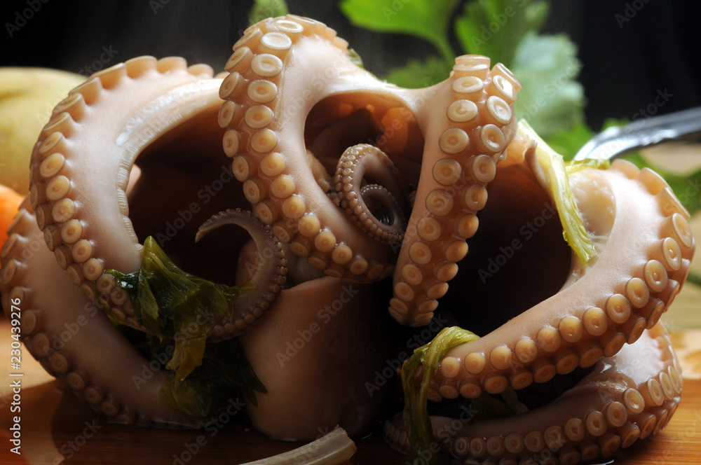 Octopus vulgaris Obična hobotnica 普通章魚 Polpo lesso ft61124036 pulpo ...
