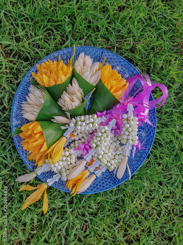 Magnolia Champaca flower,Champak or Michelia champaca lay in blue plate ...