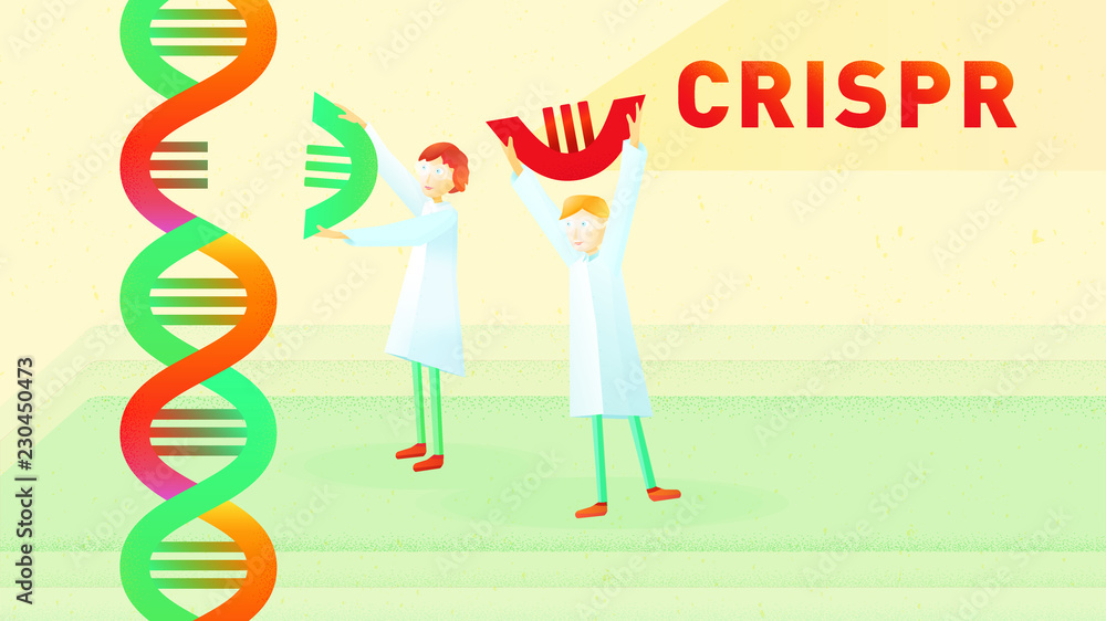Crispr/Cas9 Scientist Stock Vector | Adobe Stock