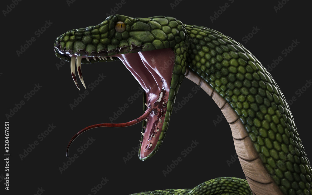 3d Illustration Green Giant Fantasy Snake on Black Background with ...