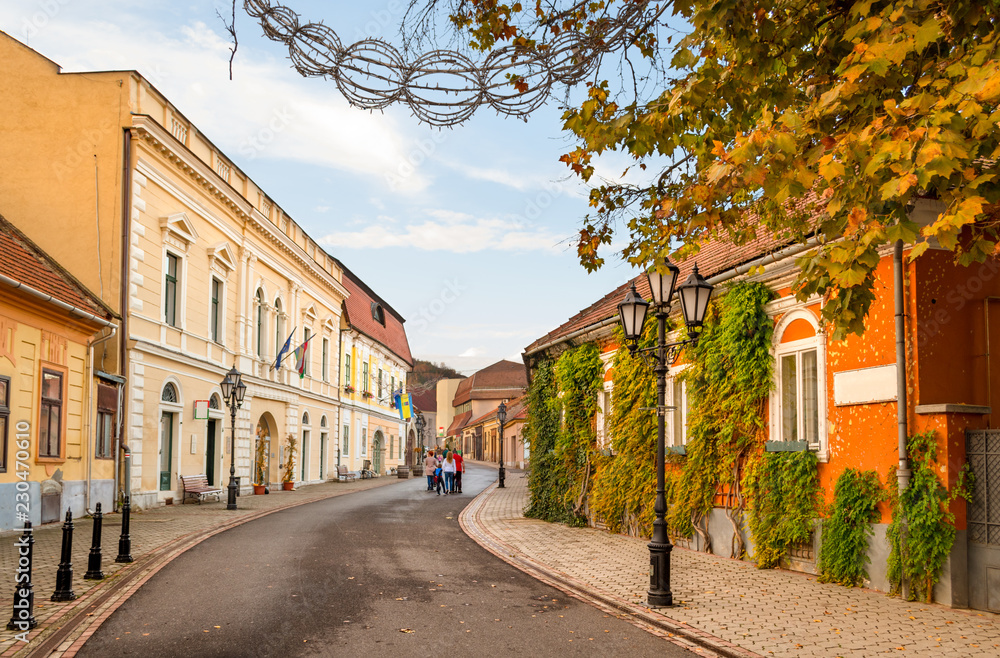 Foto Stock Tokaj historic city center in autumn colours. The small town ...