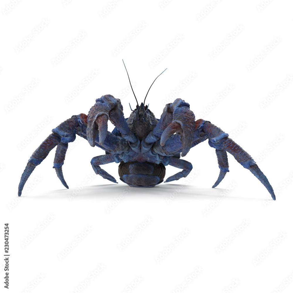 Coconut Crab Isolated On White Background. 3D Illustration Stock ...
