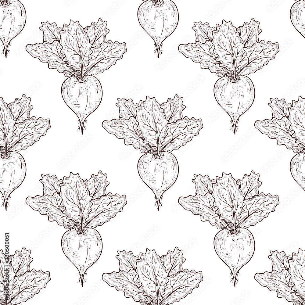 Turnip. Vegetable. Root leaves. Background, wallpaper, seamless ...