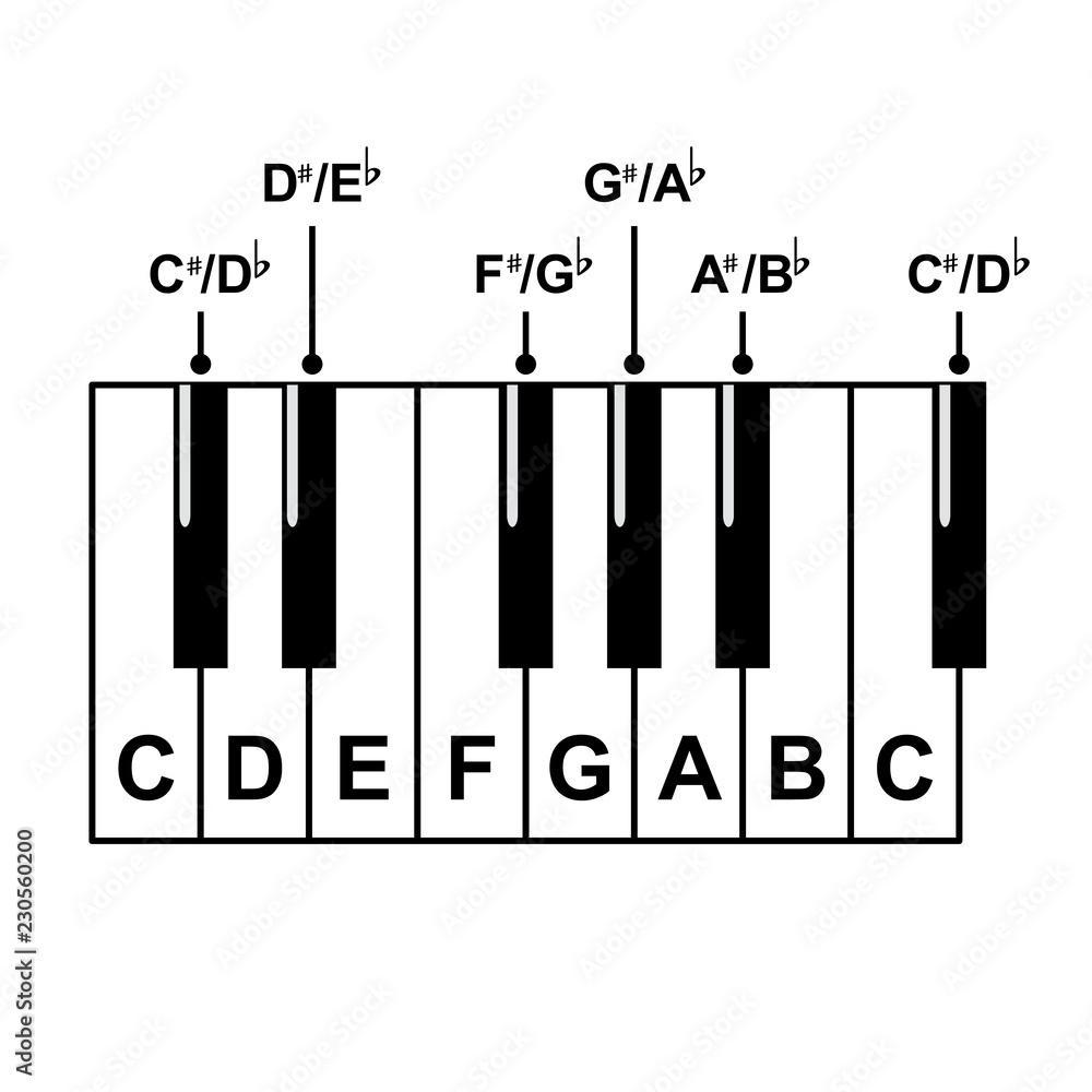 Piano keyboard diagram - piano keyboard layout on white background ...