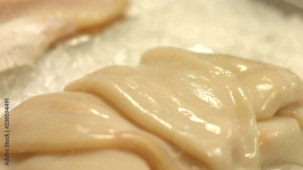 Squid, salmon steaks and salmon fillet. Fresh squid, salmon steaks and ...