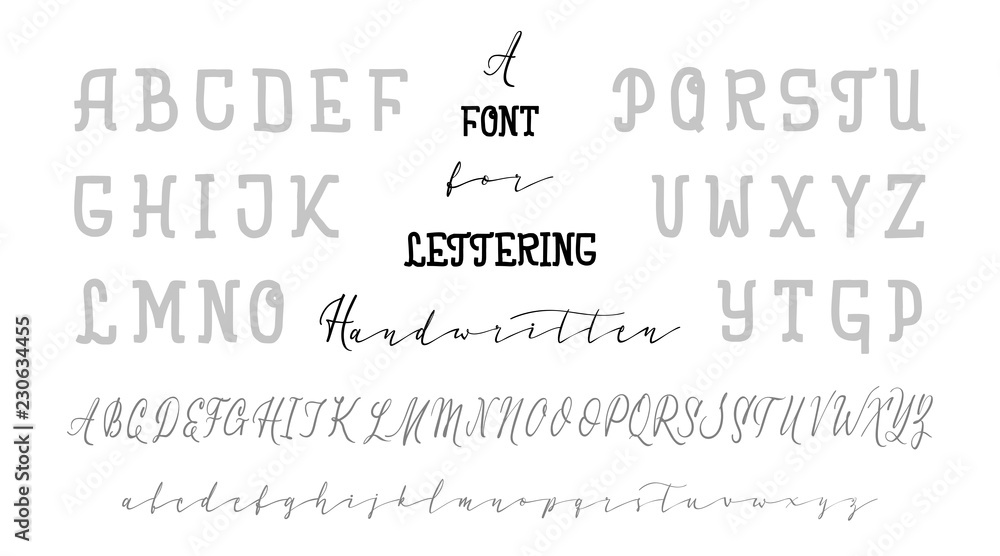 Two font. Vector hand drawn typeface. Brush painted letters. Handmade ...