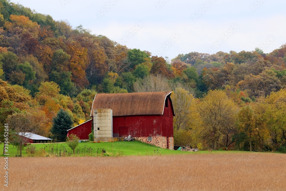 Barn With Corn Field Background