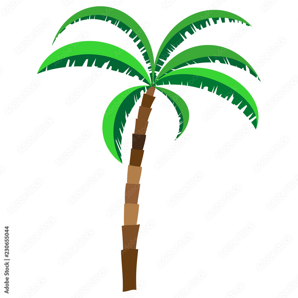 Palm trees in cartoon style isolated on white background. Colored ...
