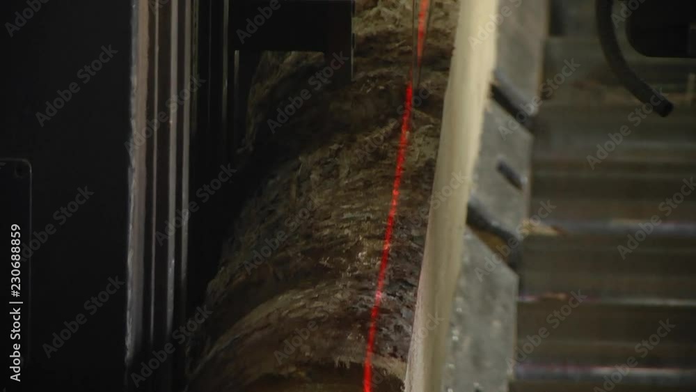 Production of timber from wood. Sawmill. Process of machining logs in ...
