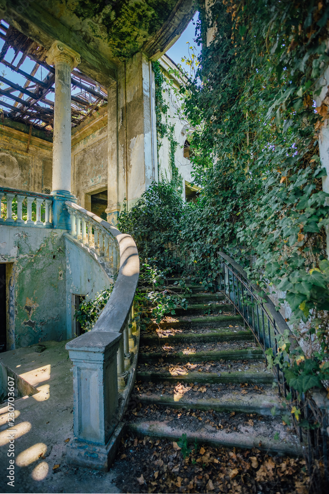 Ruined mansion interior overgrown by plants Overgrown by ivy spiral ...