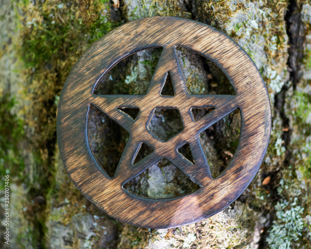 Wooden encircled pentagram symbol on fibrous tree bark in the forest ...