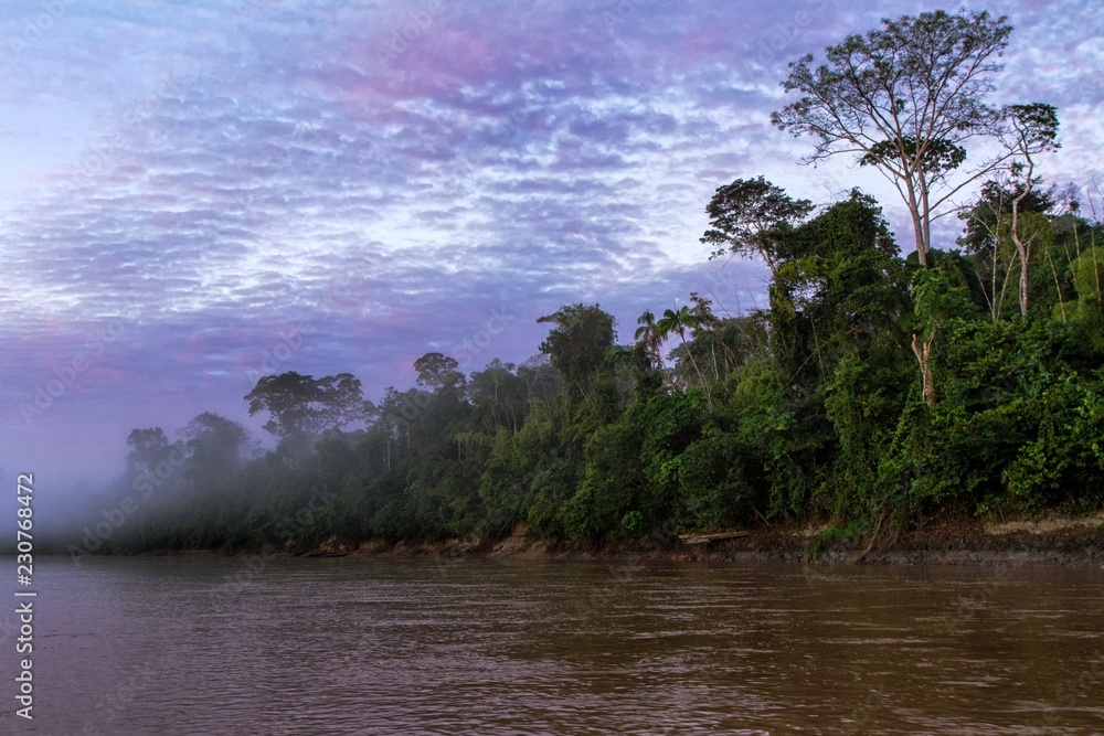 Madre de Dios river in Manu National park with scenery of tropical rain ...