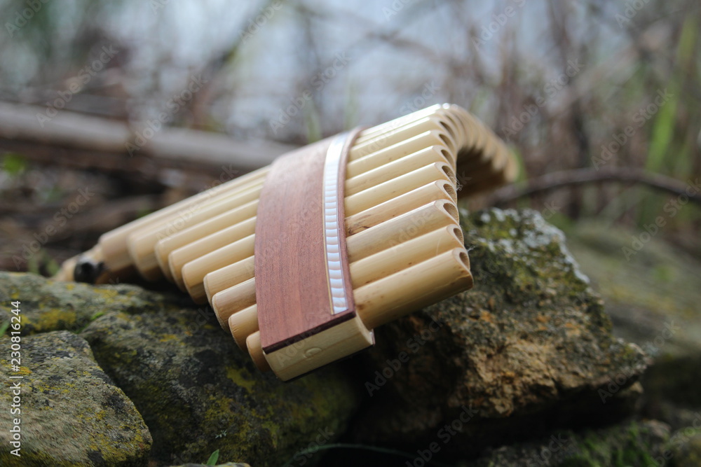 panpipe : flute de pan Stock Photo | Adobe Stock