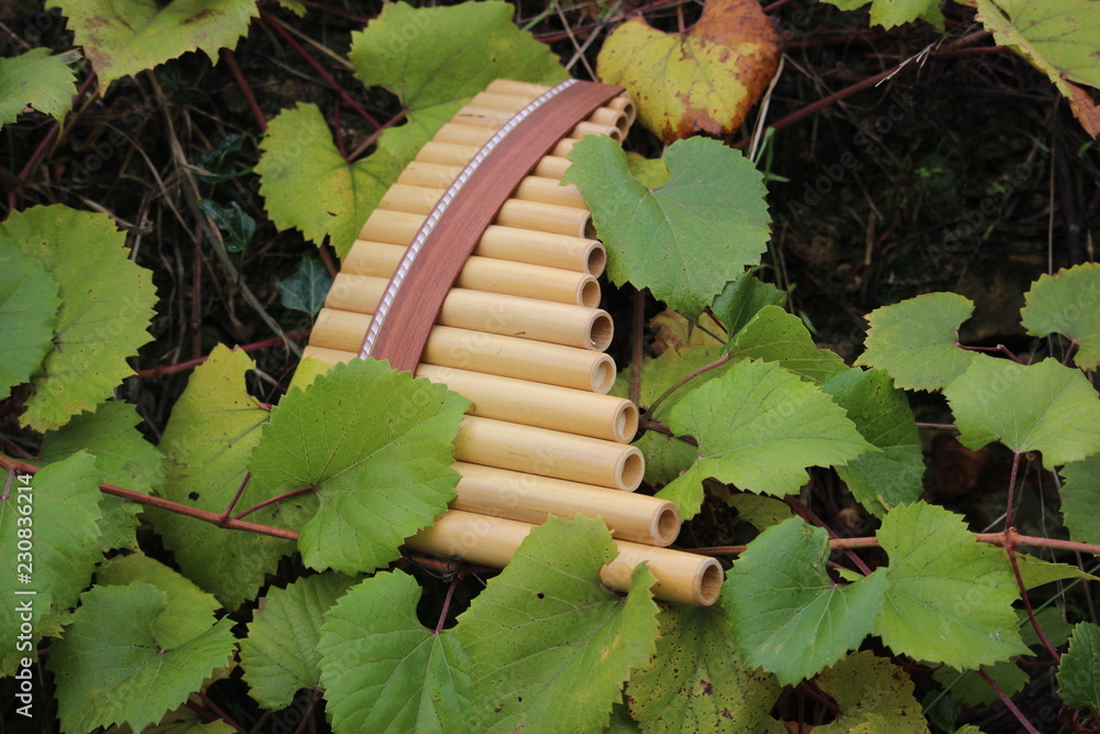 flûie de pan dans la nature Stock Photo | Adobe Stock