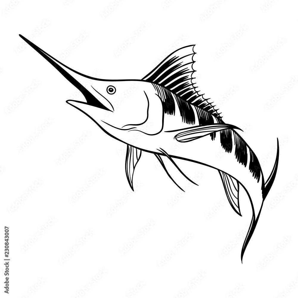 Swordfish hand drawn seafood black and white illustration. Vector ...