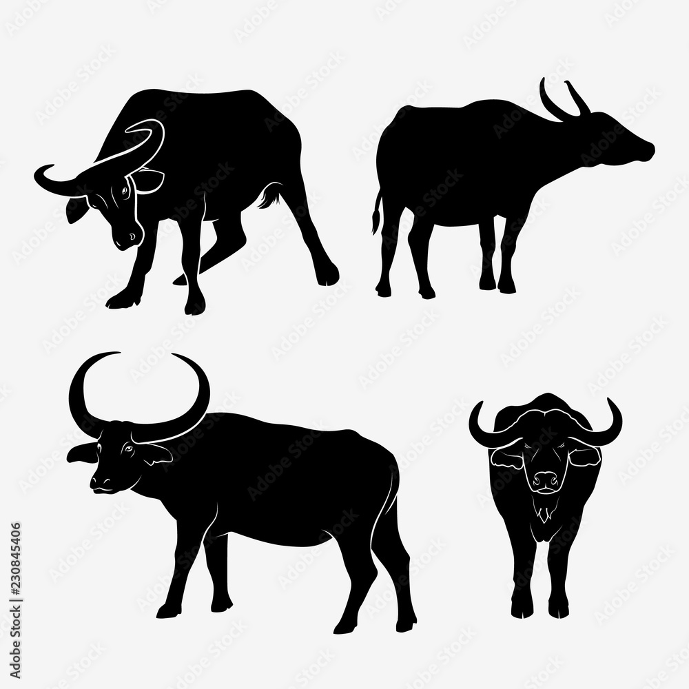 Vector illustration of a buffalo isolated Stock Vector | Adobe Stock