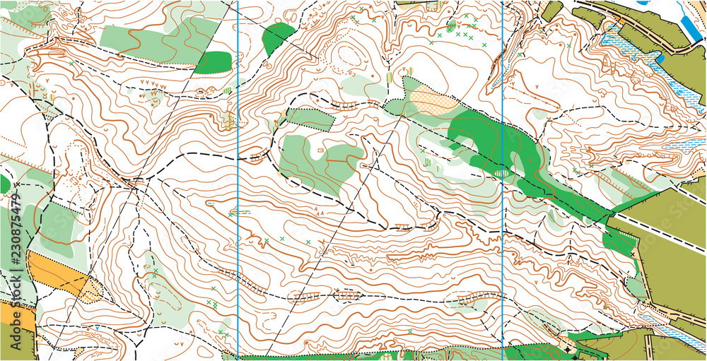 Abstract color vector topographic highly detailed map Stock Vector ...