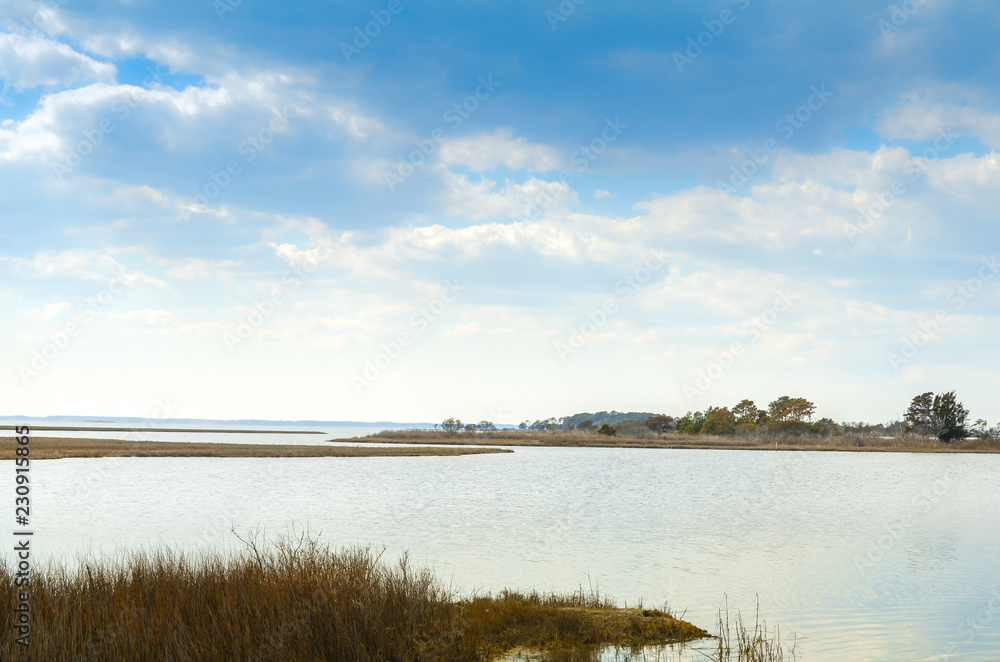 Marsh Water And Shore