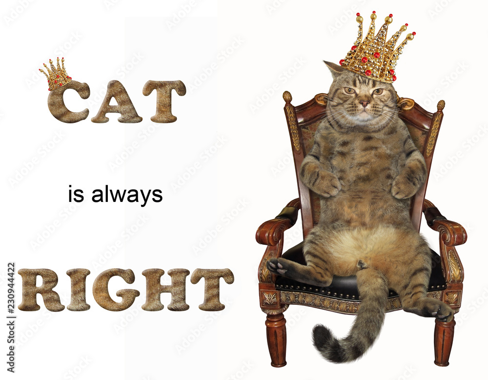 The cat lord in a crown is sitting on the throne. White background ...