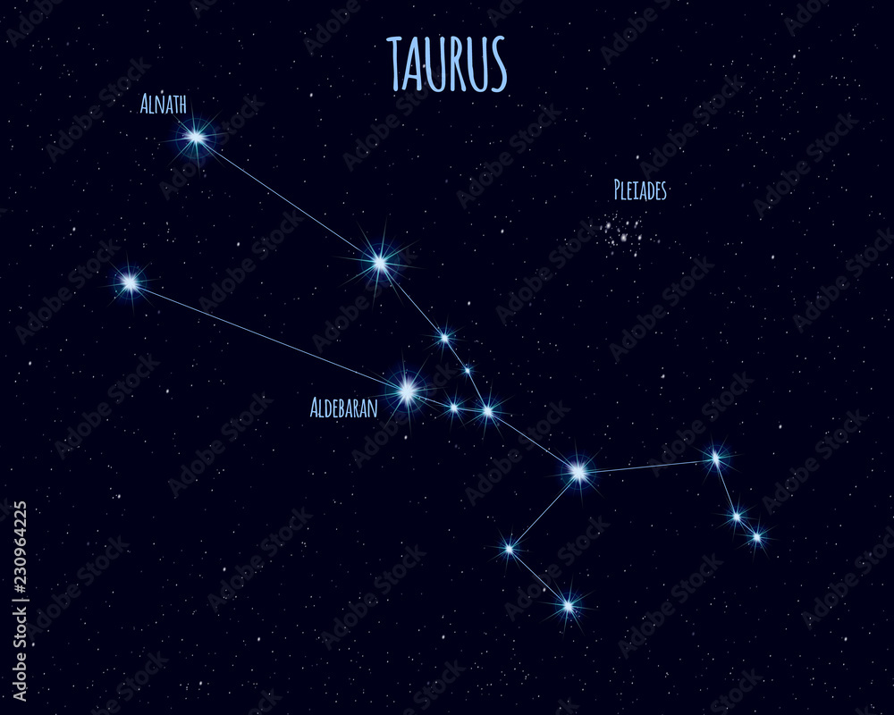 Taurus (The Bull) constellation, vector illustration with the names of ...