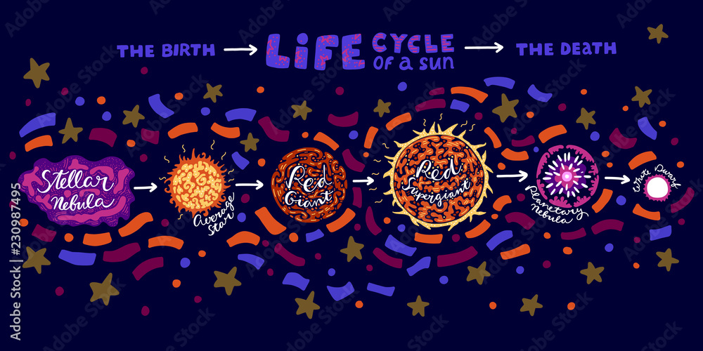 Sun Life Cycle Stock Vector | Adobe Stock