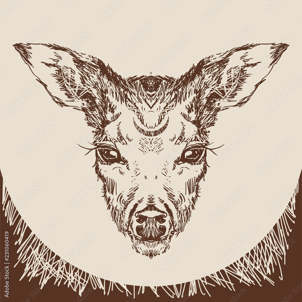 Vector. Deer head with large ears and eyes. Geometric linear animal ...