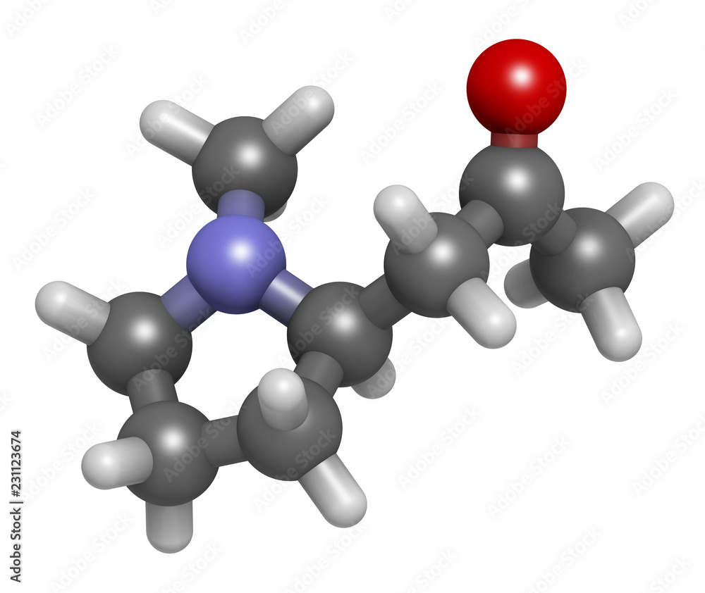 Hygrine coca alkaloid molecule. 3D rendering. Atoms are represented as ...