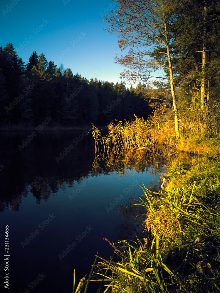 Lake. Stock Photo | Adobe Stock