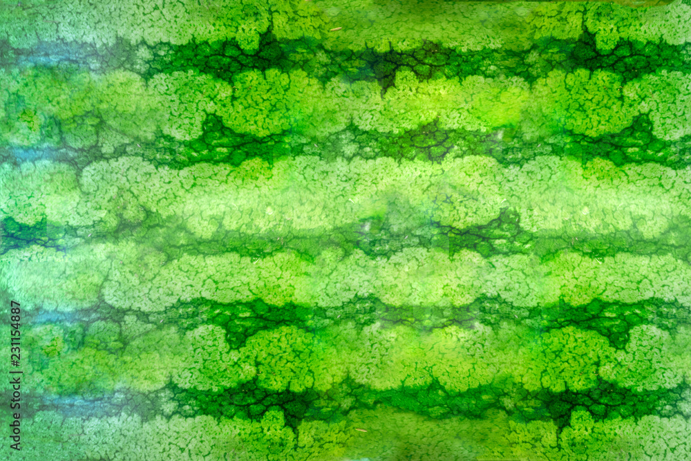 Striped crust of watermelon, background, texture Stock Photo | Adobe Stock