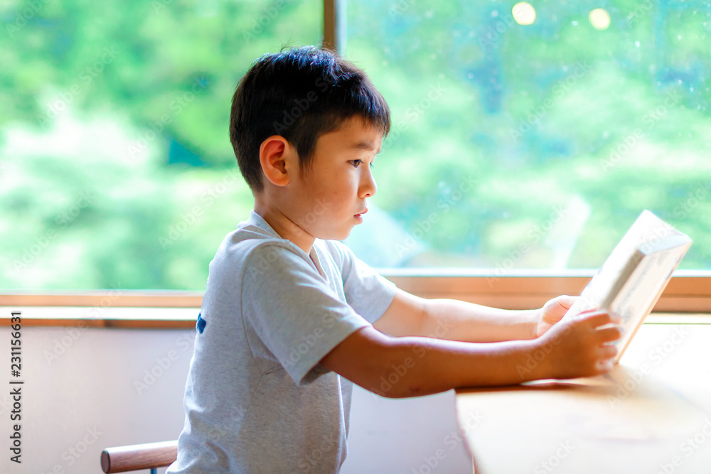 A boy reading a book Stock Photo | Adobe Stock