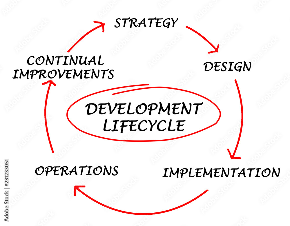 Presentation of development lifecycle Stock Illustration | Adobe Stock