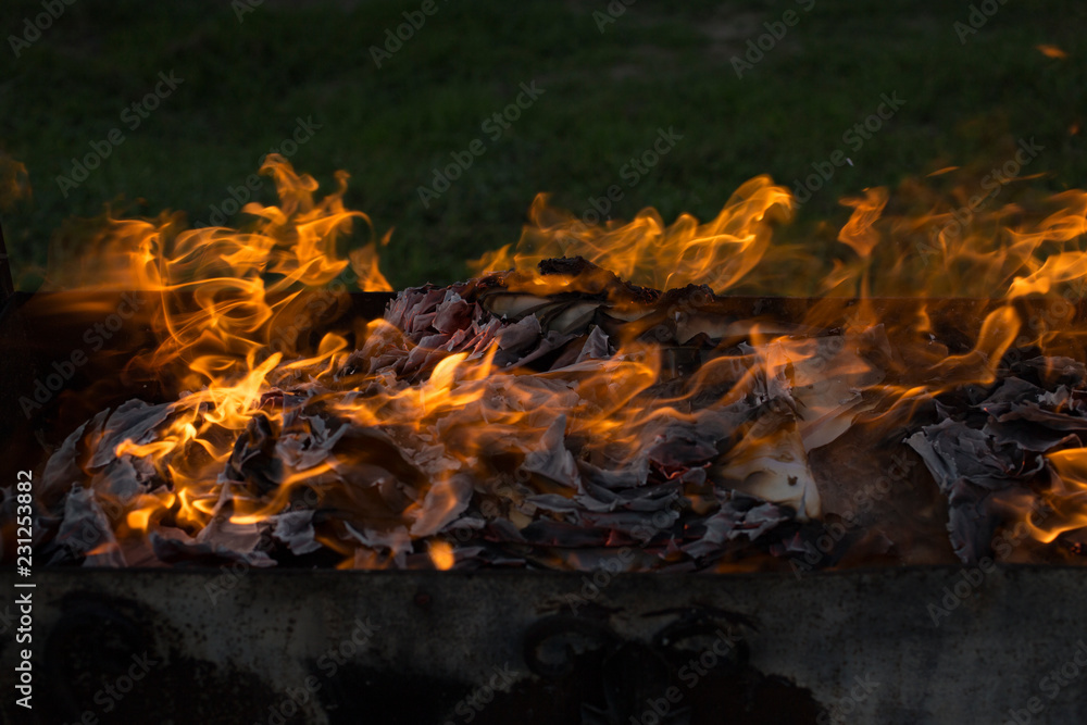 Flaming fire. Documents burning. Dance of fire spirits. Ignition of ...