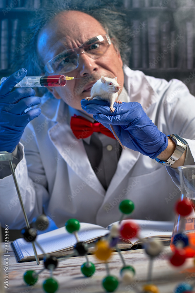 mad scientist doing experiment on lab mouse Stock-Foto | Adobe Stock
