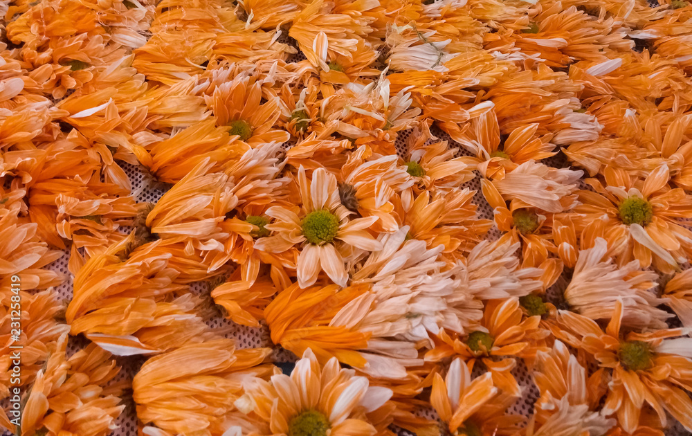Detail of a silleta. Parade of silleteros, Medellin, Colombia, with ...