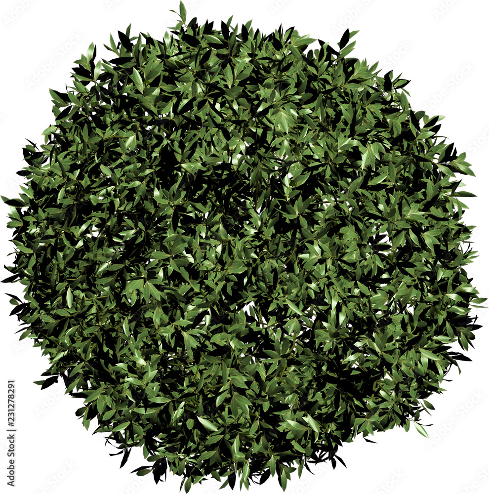 Plant and Tree top view / overhead symbols and icons isolated on white ...