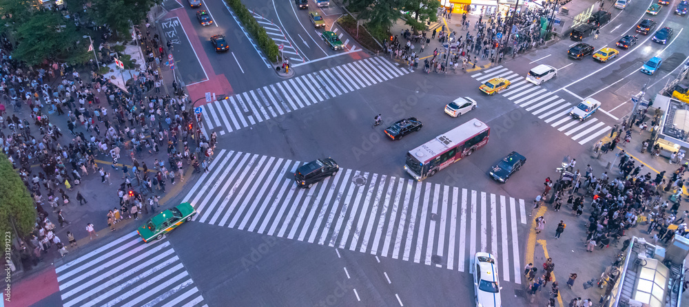Pedestrians crosswalk at Shibuya district in Tokyo, Japan. Shibuya ...