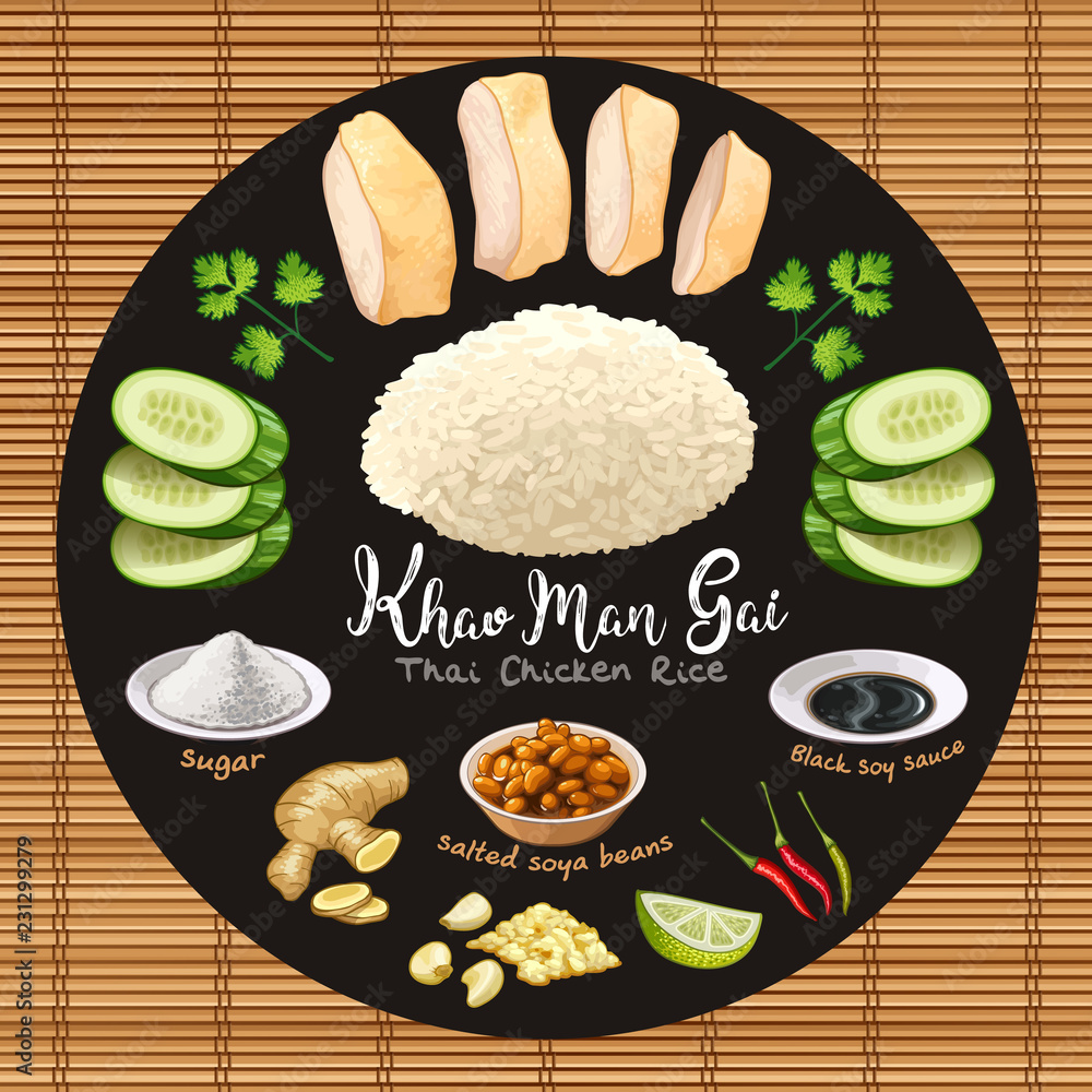Khao man gai thai style chicken rice with ingredients vector ...