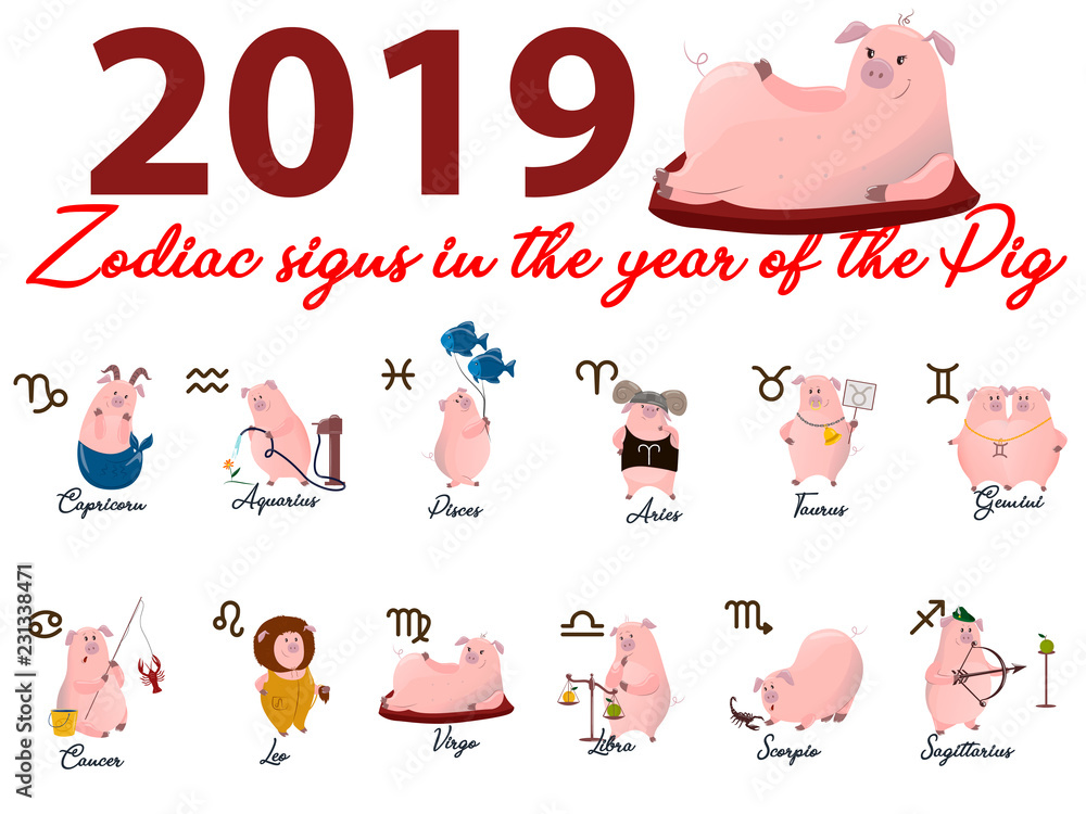 12 zodiac vector signs constellation as a pig, symbol of 2019. Flat ...