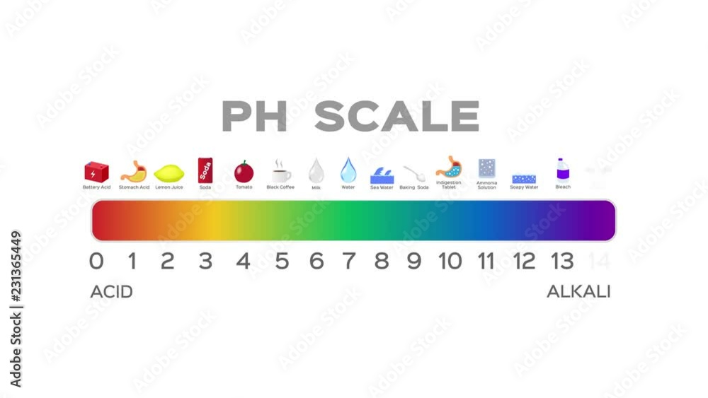 ph scale vector graphic . acid to base graphic animation Stock Video ...