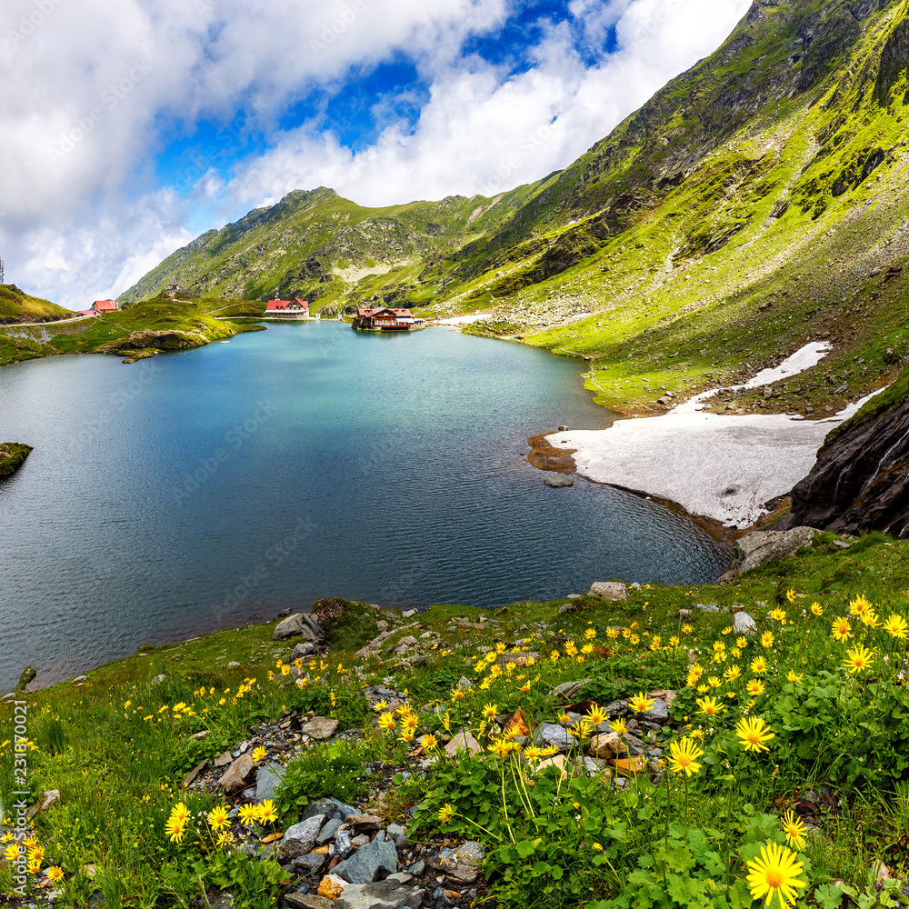 Wonderful lake in the mountains in summer with yellow flowers. amazing ...