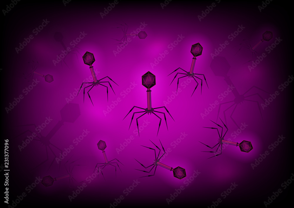 Bacteriophage cell culture background in velvet with spikes, dna, tail ...