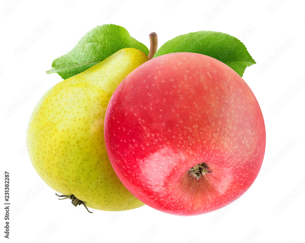 Two isolated fruits on a branch. Yellow green pear and red apple with ...