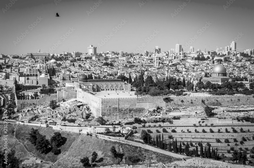 Foto de JERUSALEM, ISRAEL. October 30, 2018. A bird flying over the ...